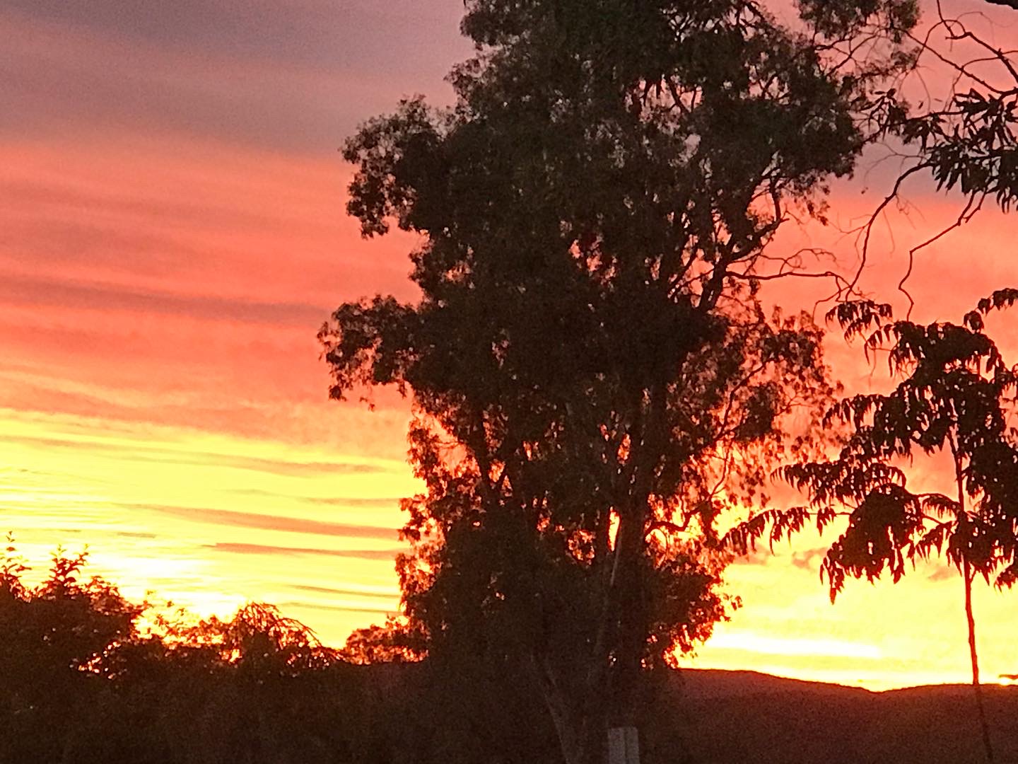 Stunning Desert Skies: Capturing Vibrant Colors in the Desert ...